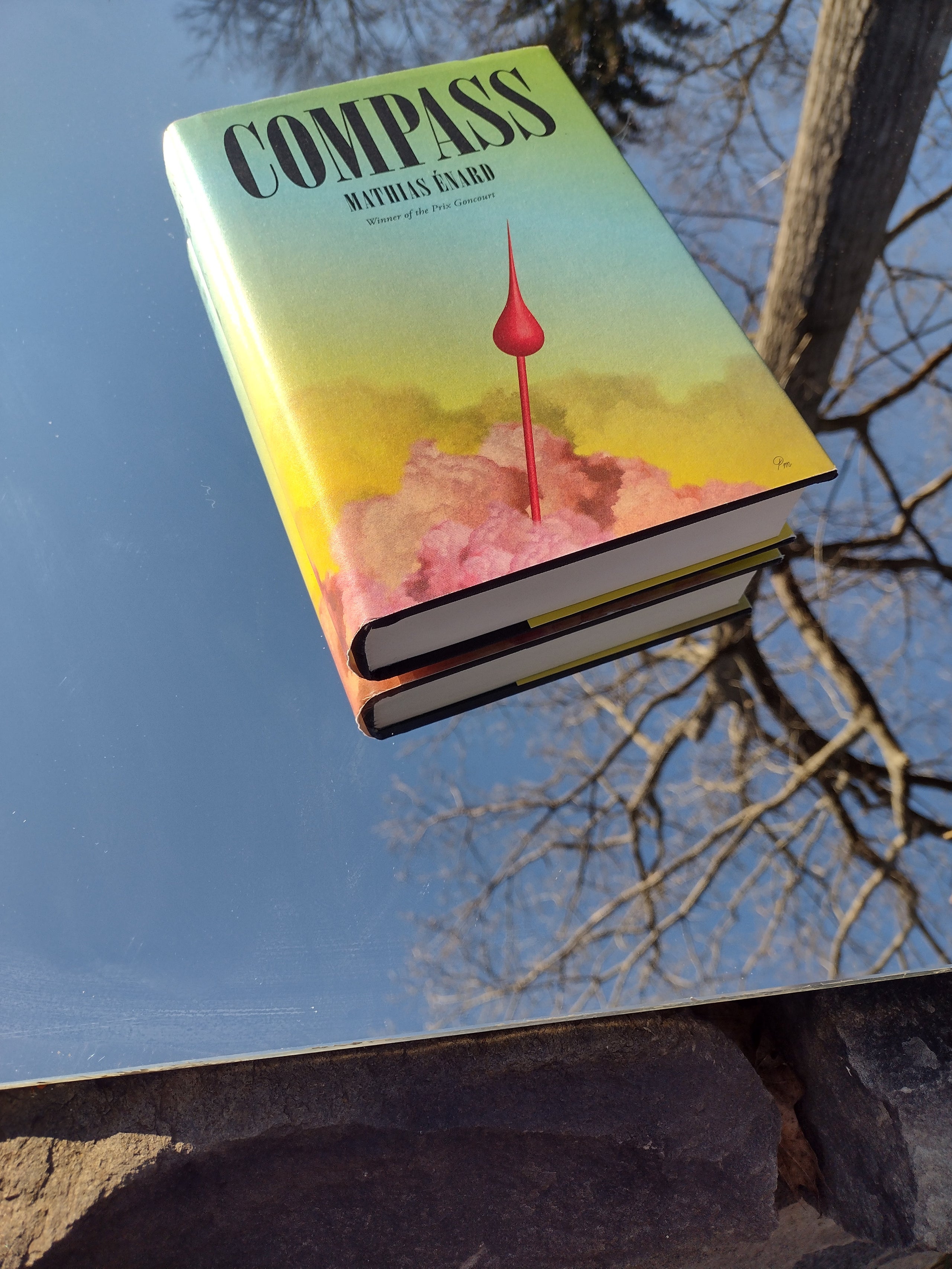 Compass (Boussole) - Mathias Énard | The Next Chapter