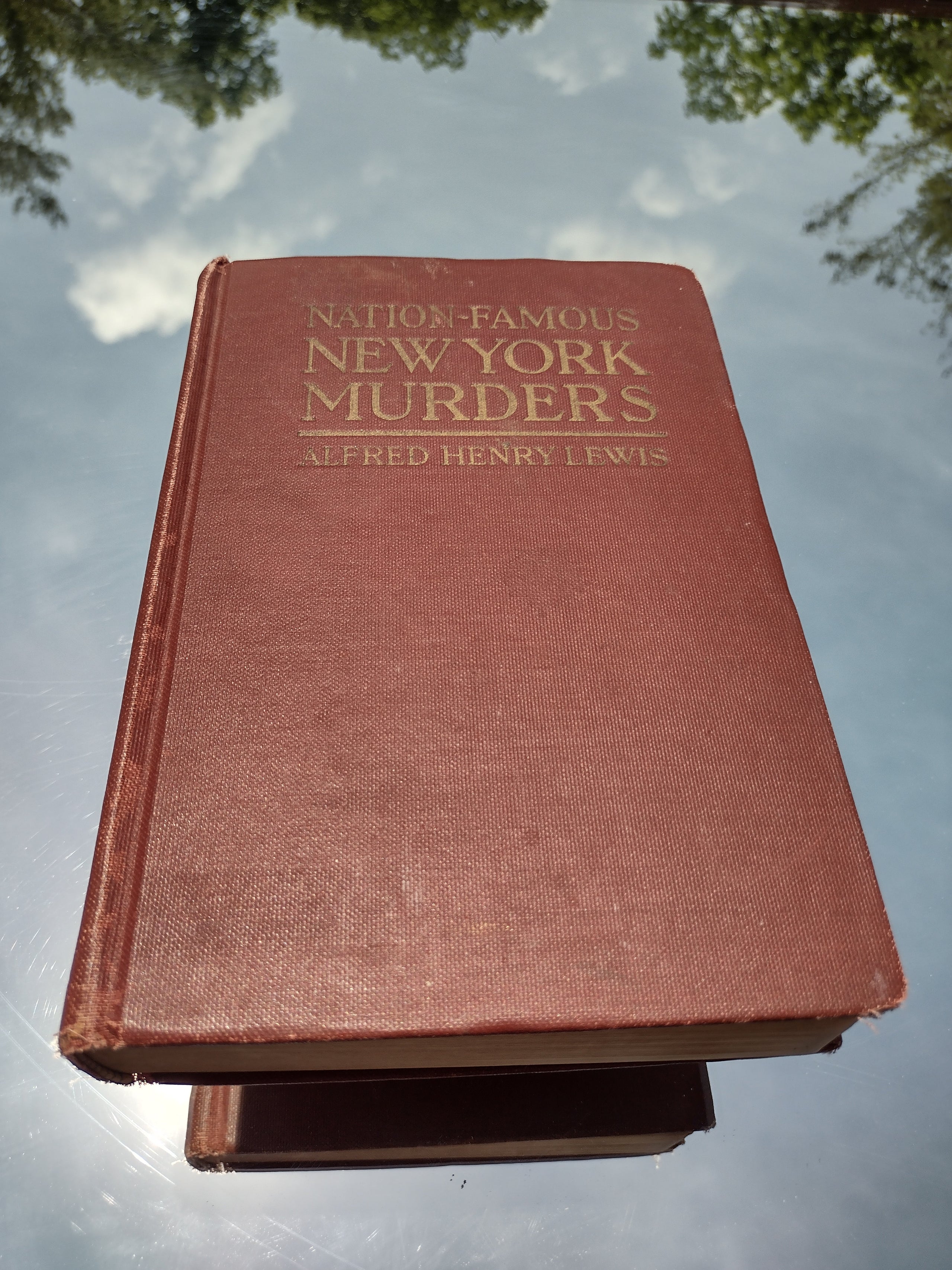 Nation-Famous New York Murders - Alfred Henry Lewis | The Next Chapter